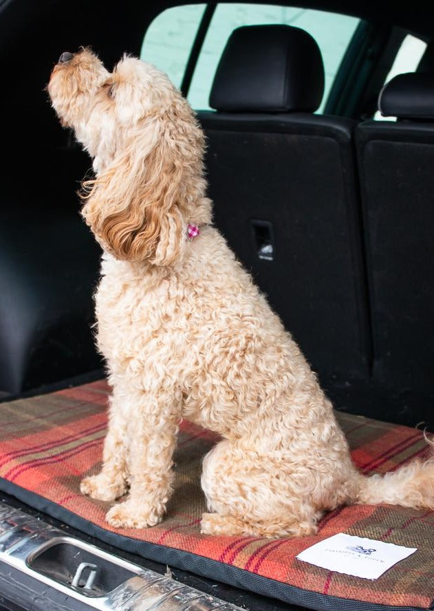 Dog Travel & Crate Mat Orange | Dog Accessories | Partridge & Pooch ...
